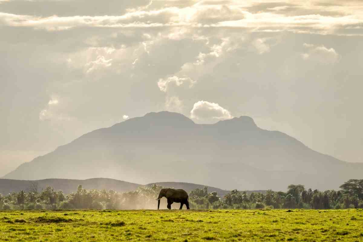 9 Top Rated Tourists Attractions In Kenya