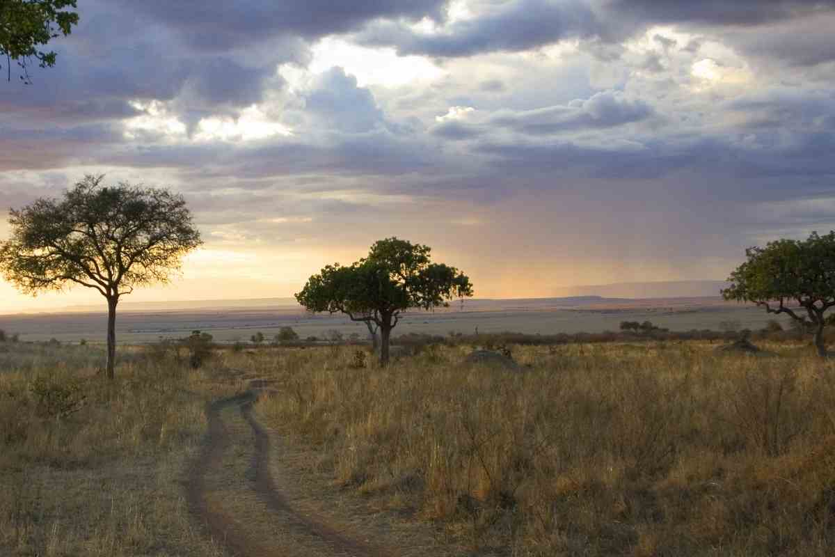 The Masai Mara: A Complete Travel Guide