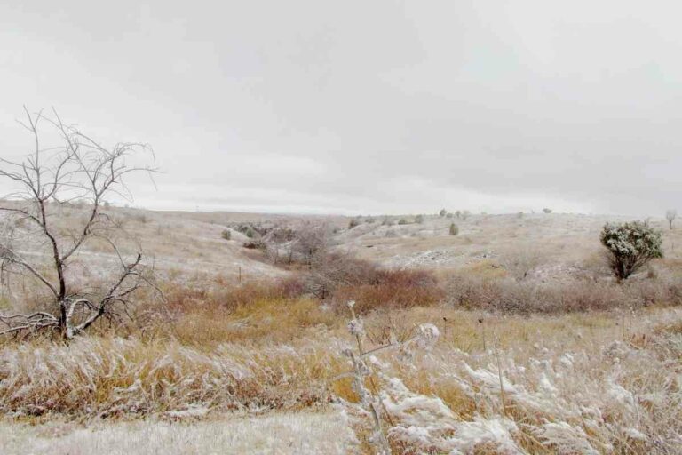 Does it Snow in Texas? A History of the State's Historic Snowfall