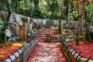 What to Wear In Japan In Autumn/Fall (September, October & November)