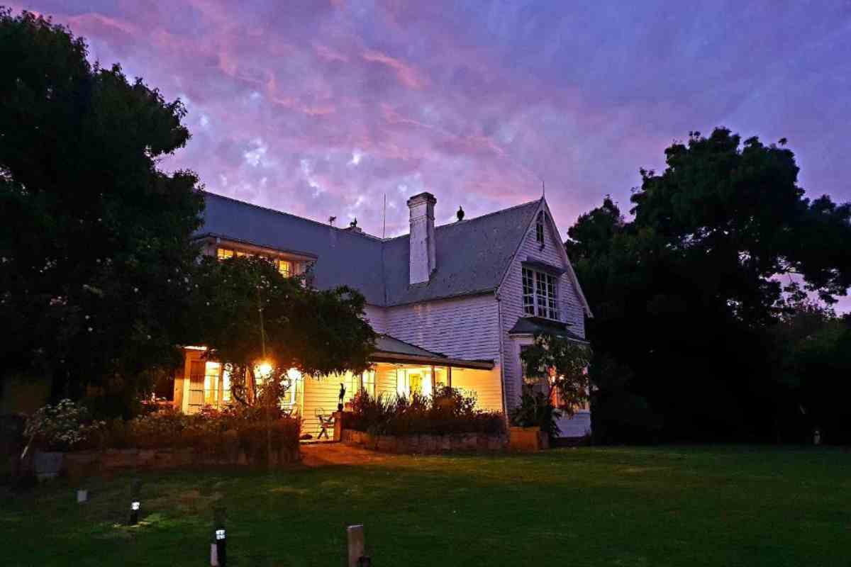 21 Hotels Where Your Pet Can Enjoy a Vacation Too