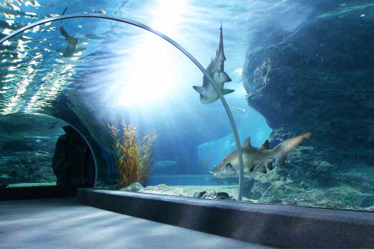 Montreal And Quebec City: 4-Day Itinerary