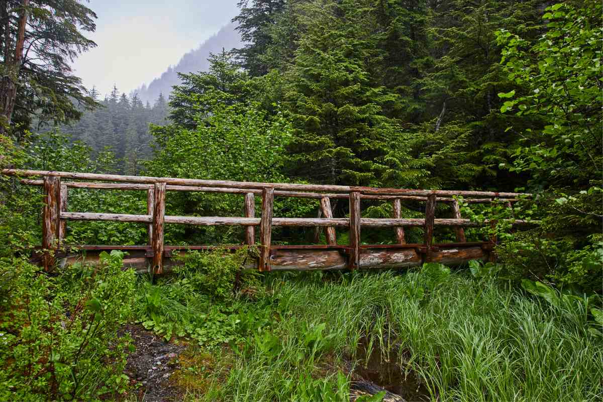 Alaska 5-Day Itinerary: Don’t Miss Out on These Places