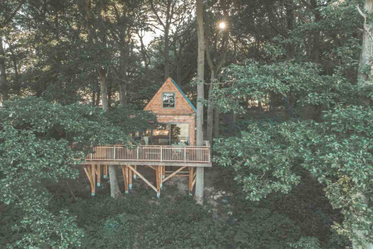10 Best Tree House Stays in The UK (Find Your Perfect Place)