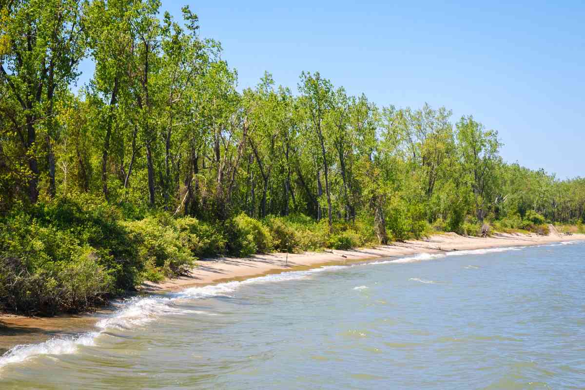 Best Beaches in Erie, PA- Presque Isle State Park Edition