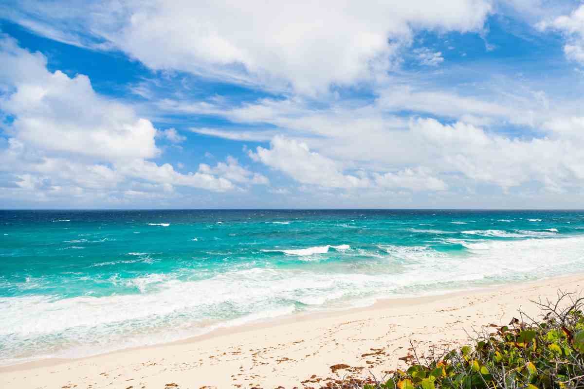 The Best of the Best Beaches in Eleuthera