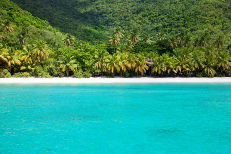 A Beach Lover's Guide to 4 Best Beaches In Tortola