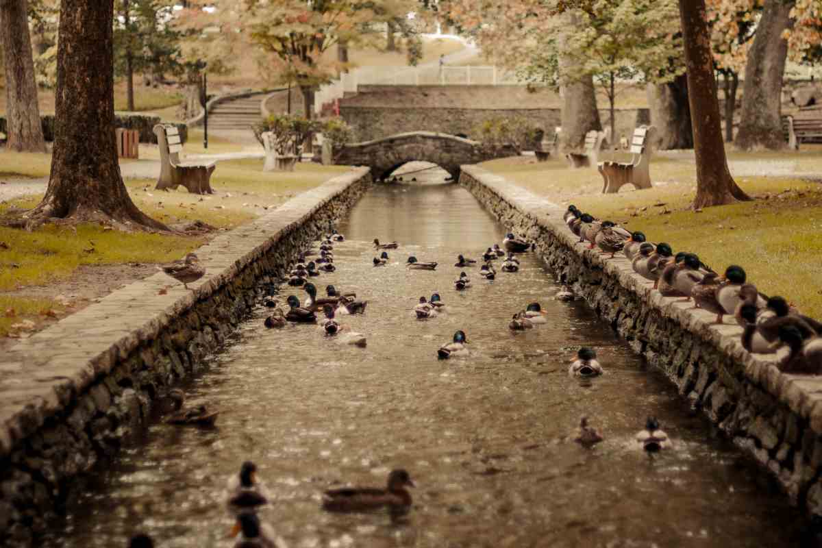 Things To Do in Lititz, PA, That Will Captivate Your Heart